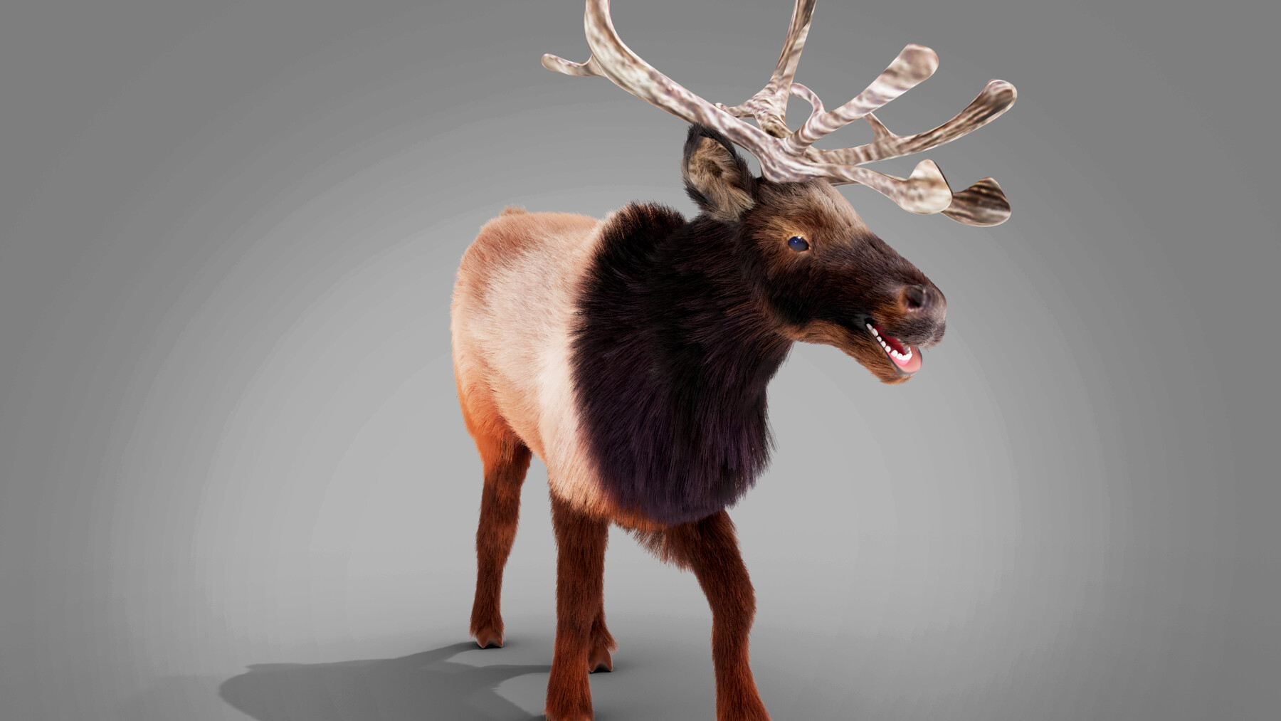 ArtStation - Fur Red Reindeer Rigged Blender | Game Assets