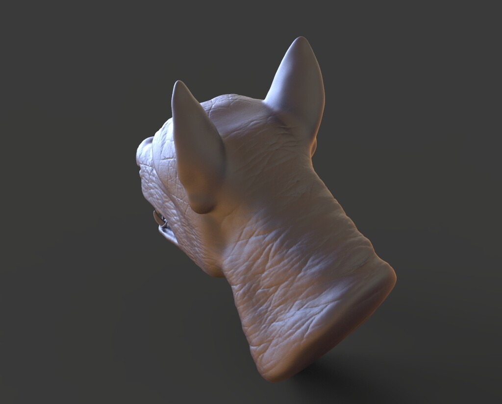 ArtStation - Head-F11_high poly sculpt | Resources