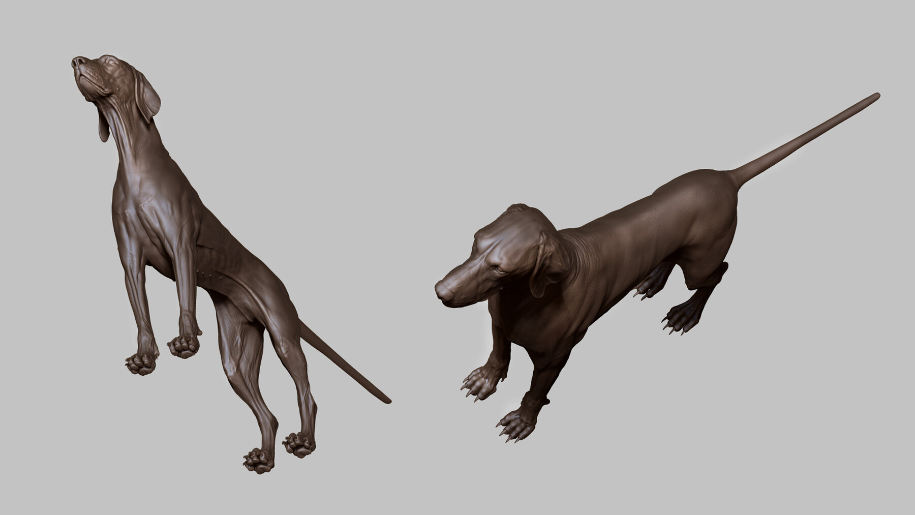 ArtStation - DOG | Resources