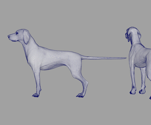 ArtStation - DOG | Resources