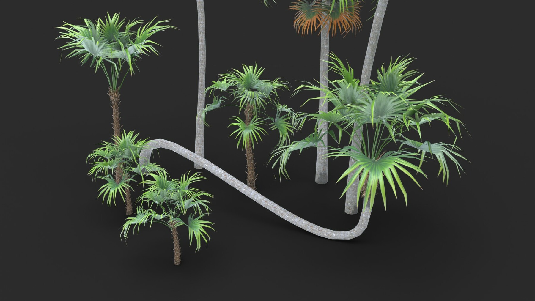 ArtStation - Green Thatch Palm Tree - Thrinax Radiata | Game Assets