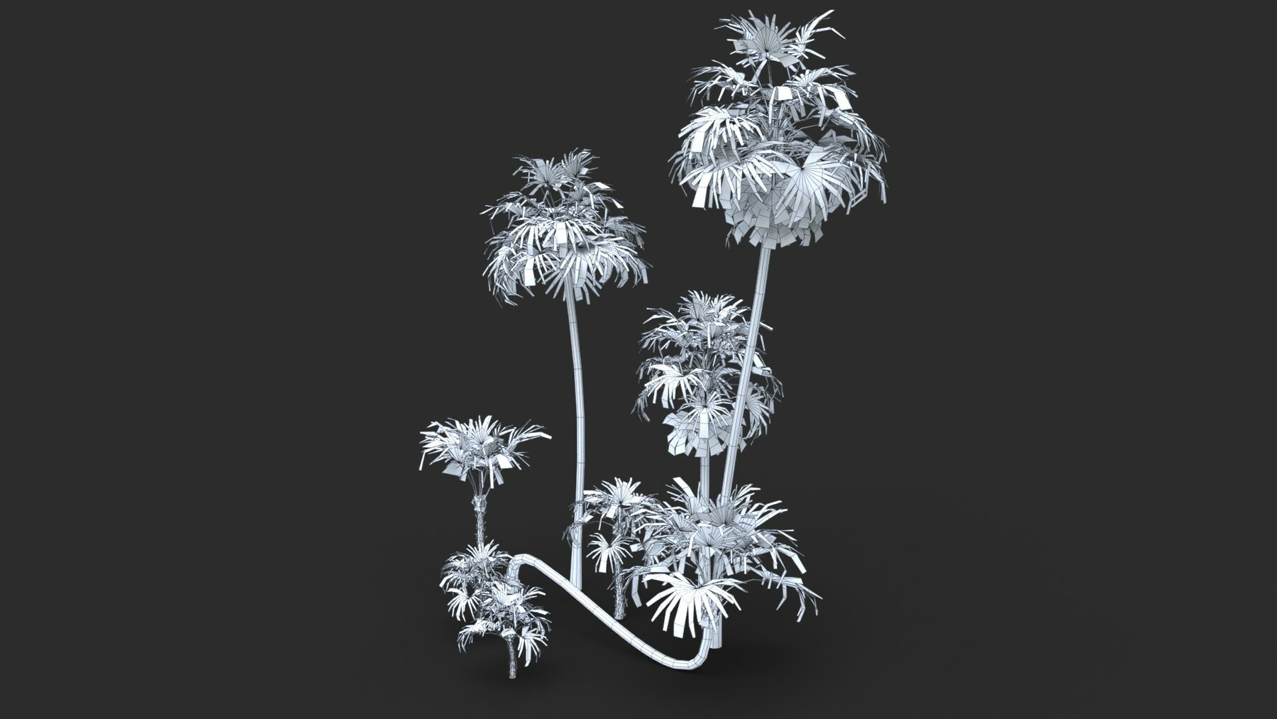 ArtStation - Green Thatch Palm Tree - Thrinax Radiata | Game Assets