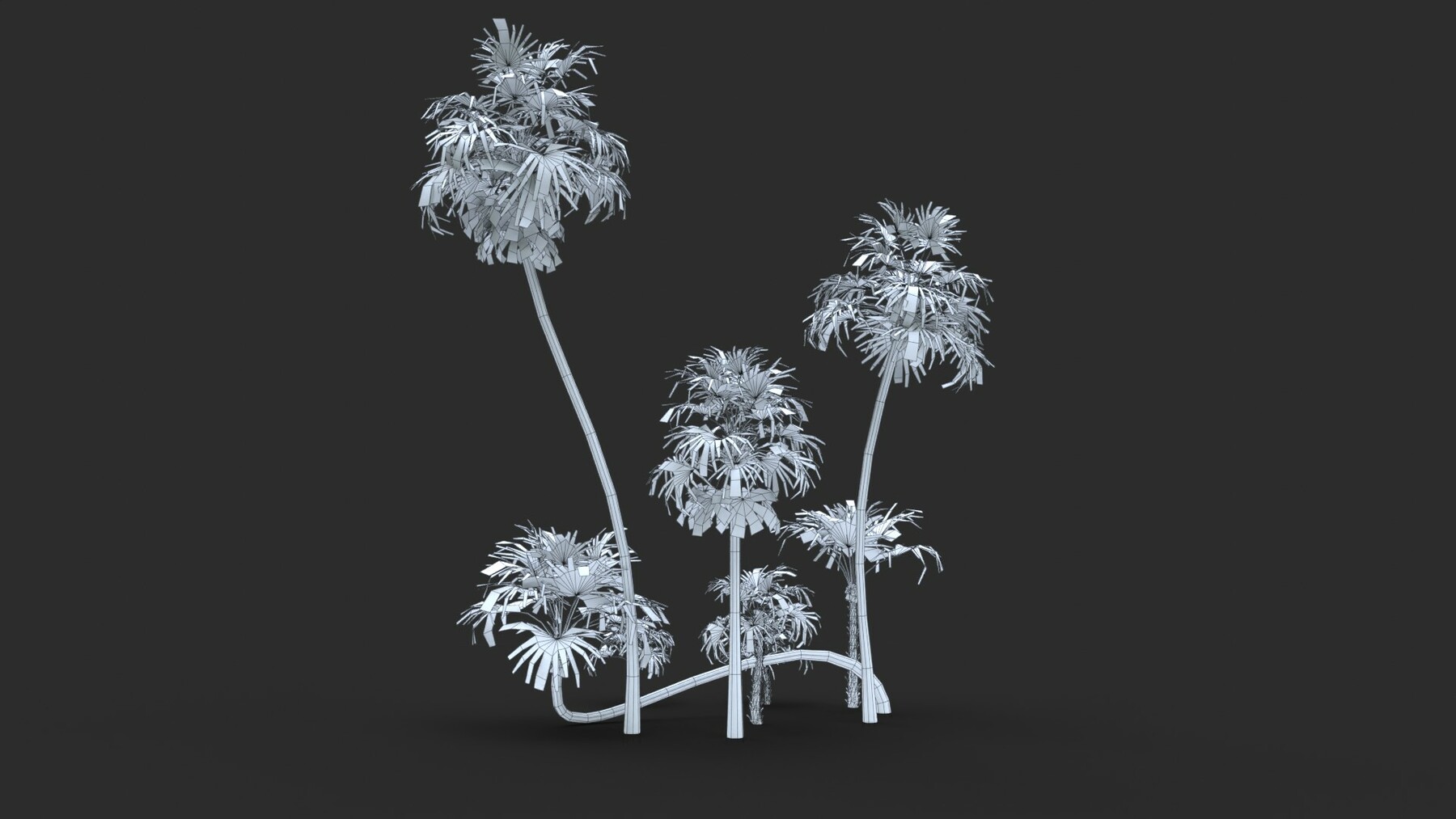 ArtStation - Green Thatch Palm Tree - Thrinax Radiata | Game Assets