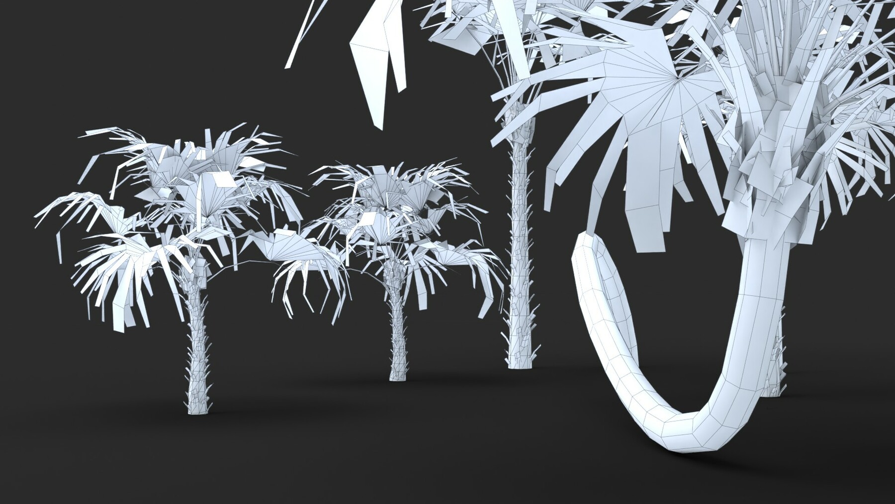 ArtStation - Green Thatch Palm Tree - Thrinax Radiata | Game Assets