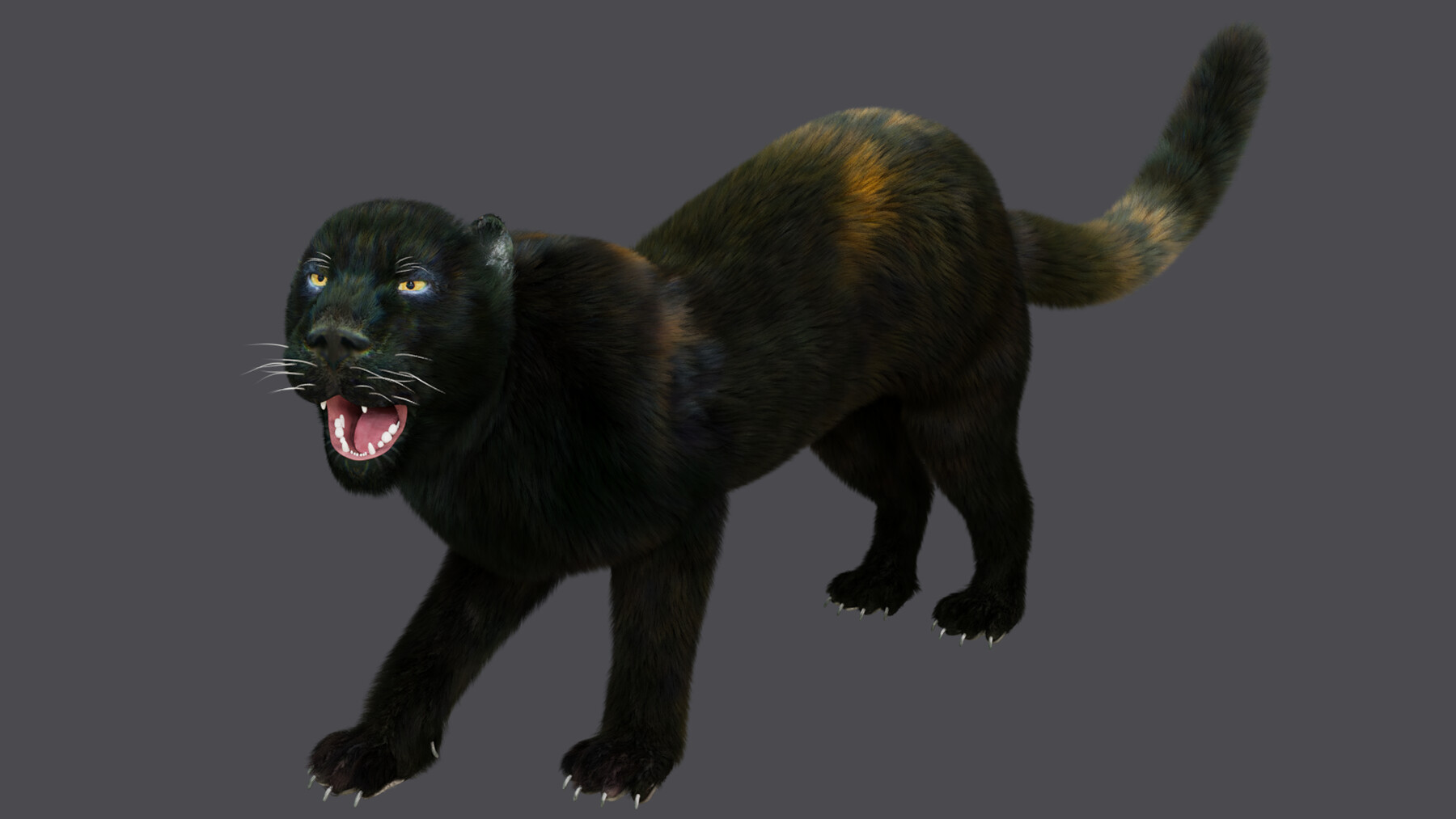 ArtStation - Fur Black Panther Rigged | Game Assets