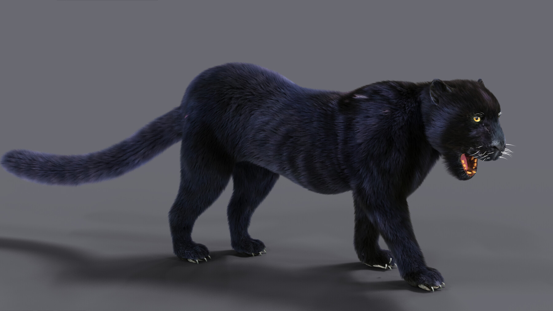 ArtStation - Realistic Fur Black panther Rigged | Game Assets