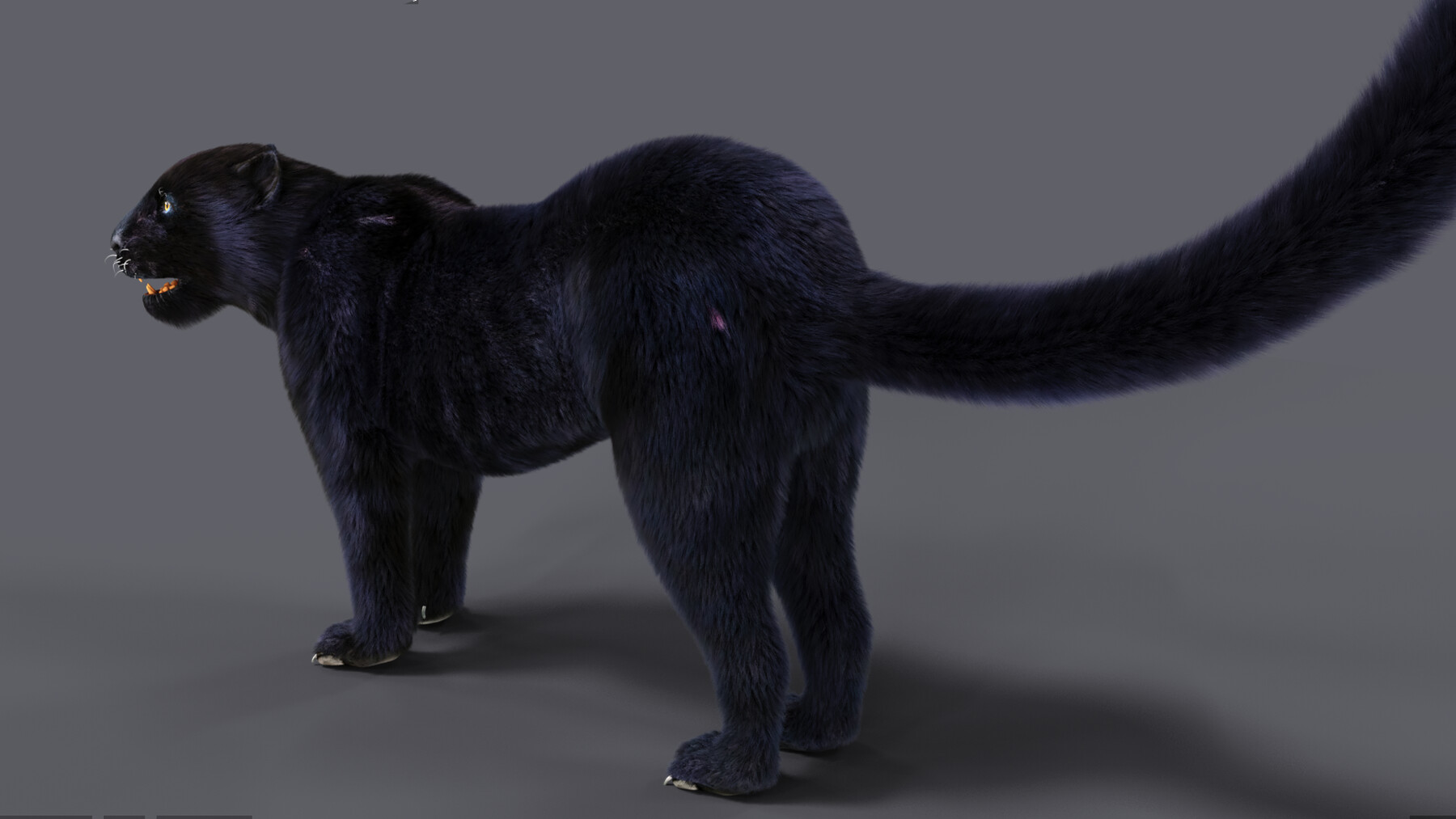ArtStation - Realistic Fur Black panther Rigged | Game Assets