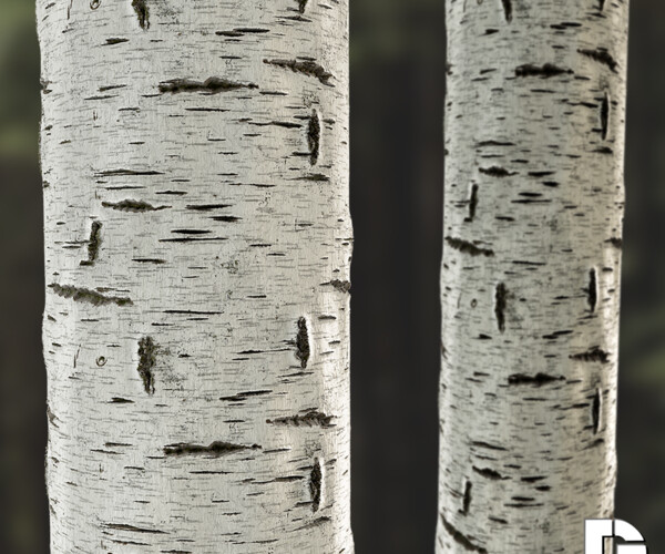 ArtStation - Birch Tree Bark Material - Substance Designer | Game Assets
