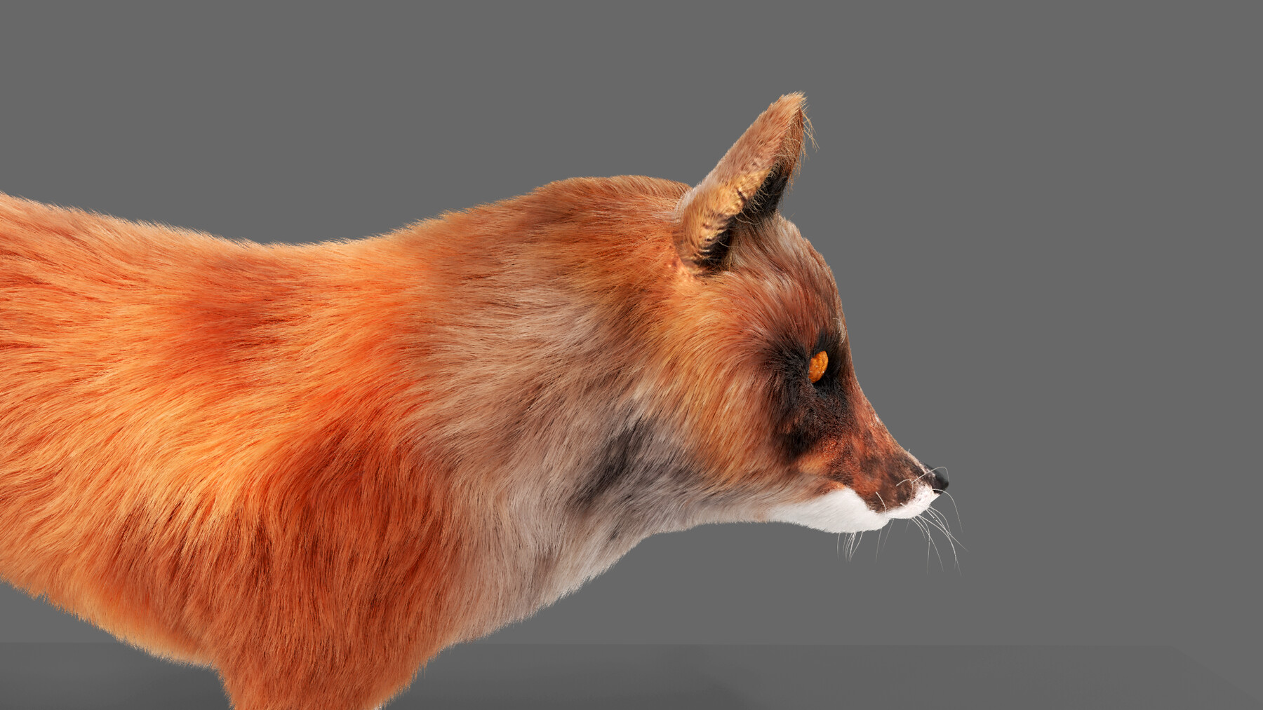 ArtStation - Fur Fox Rigged 01 | Game Assets