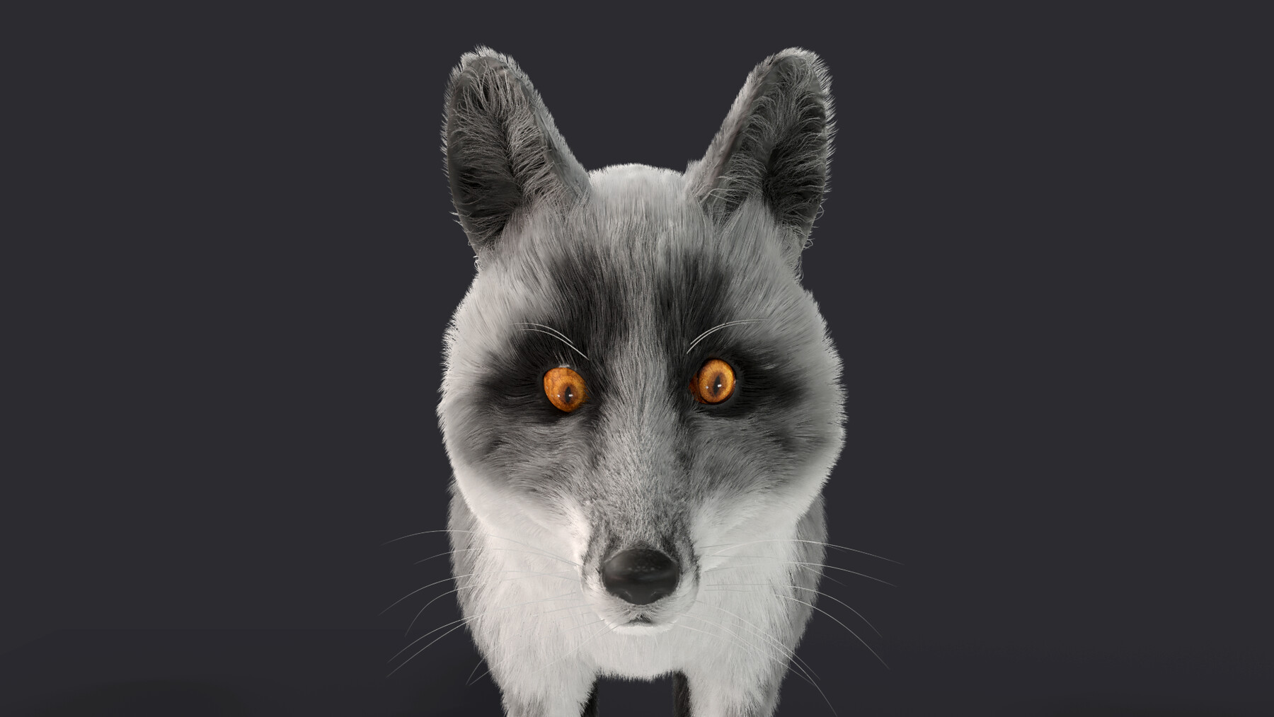ArtStation - Fur Gray Fox Rigged | Game Assets