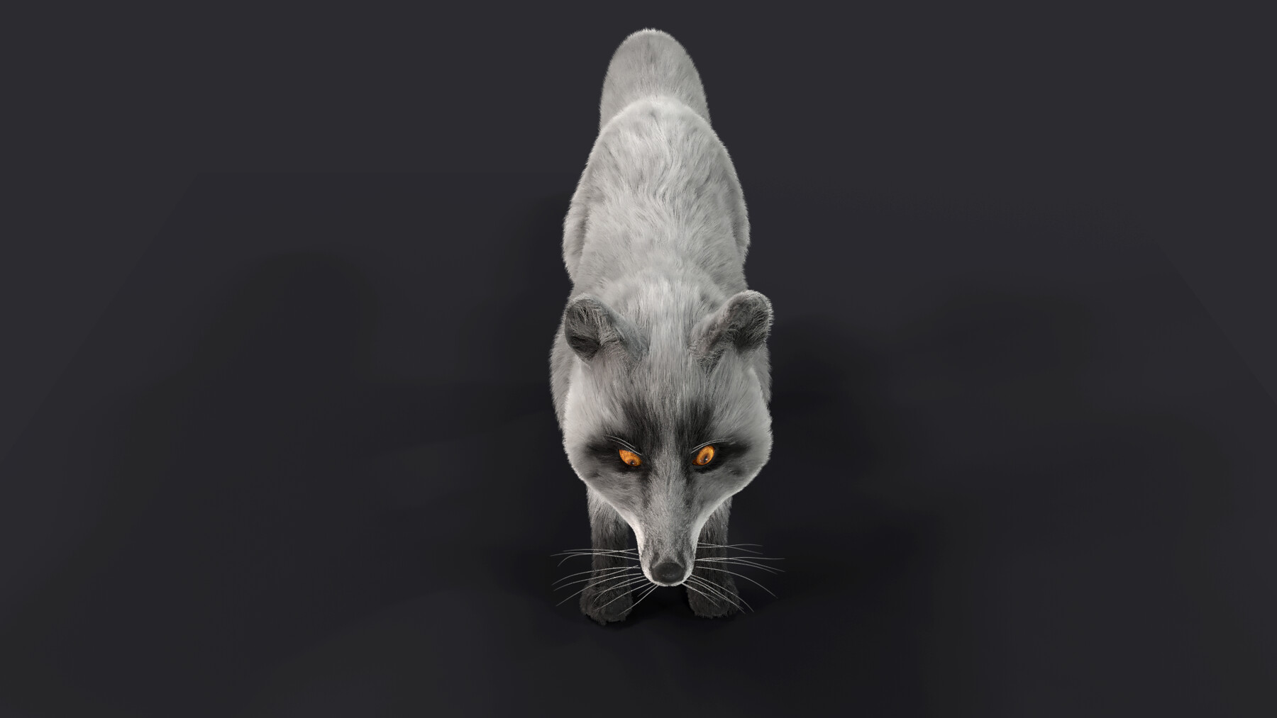 ArtStation - Fur Gray Fox Rigged | Game Assets