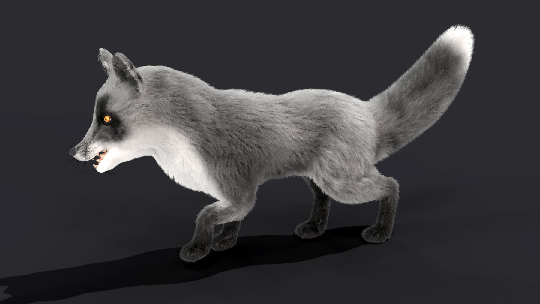 ArtStation - Fur Gray Fox Rigged | Game Assets