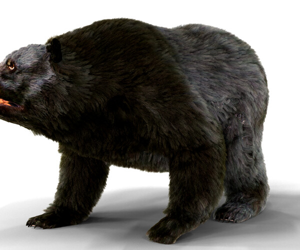 ArtStation - Fur Black Bear animated | Game Assets
