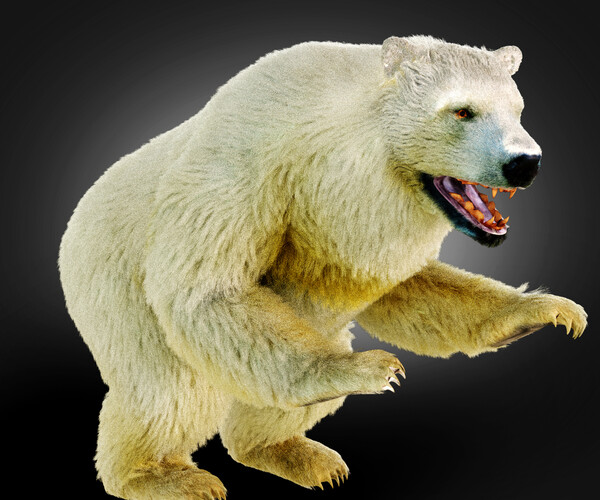 ArtStation - White Bear Fur animated | Game Assets