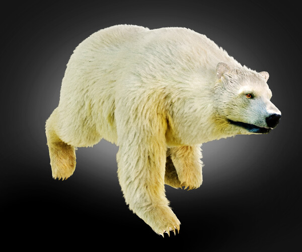 ArtStation - White Bear Fur animated | Game Assets