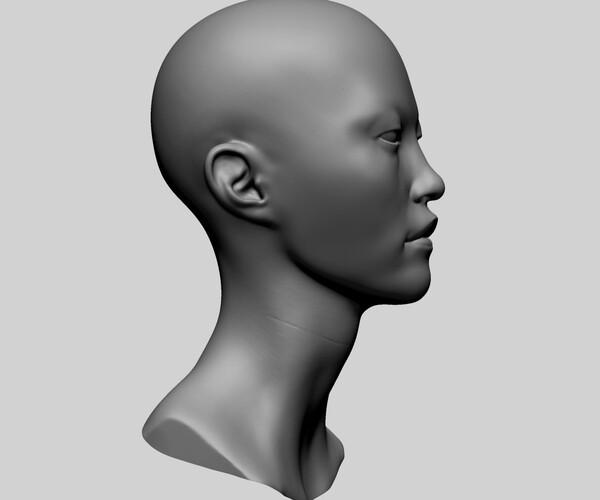 ArtStation - Asian Female Head A | Resources
