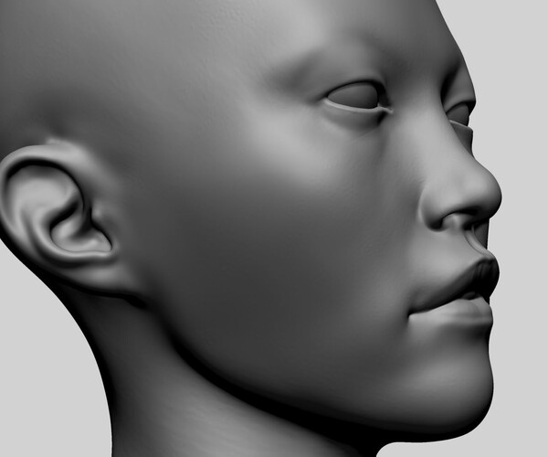 ArtStation - Asian Female Head A | Resources