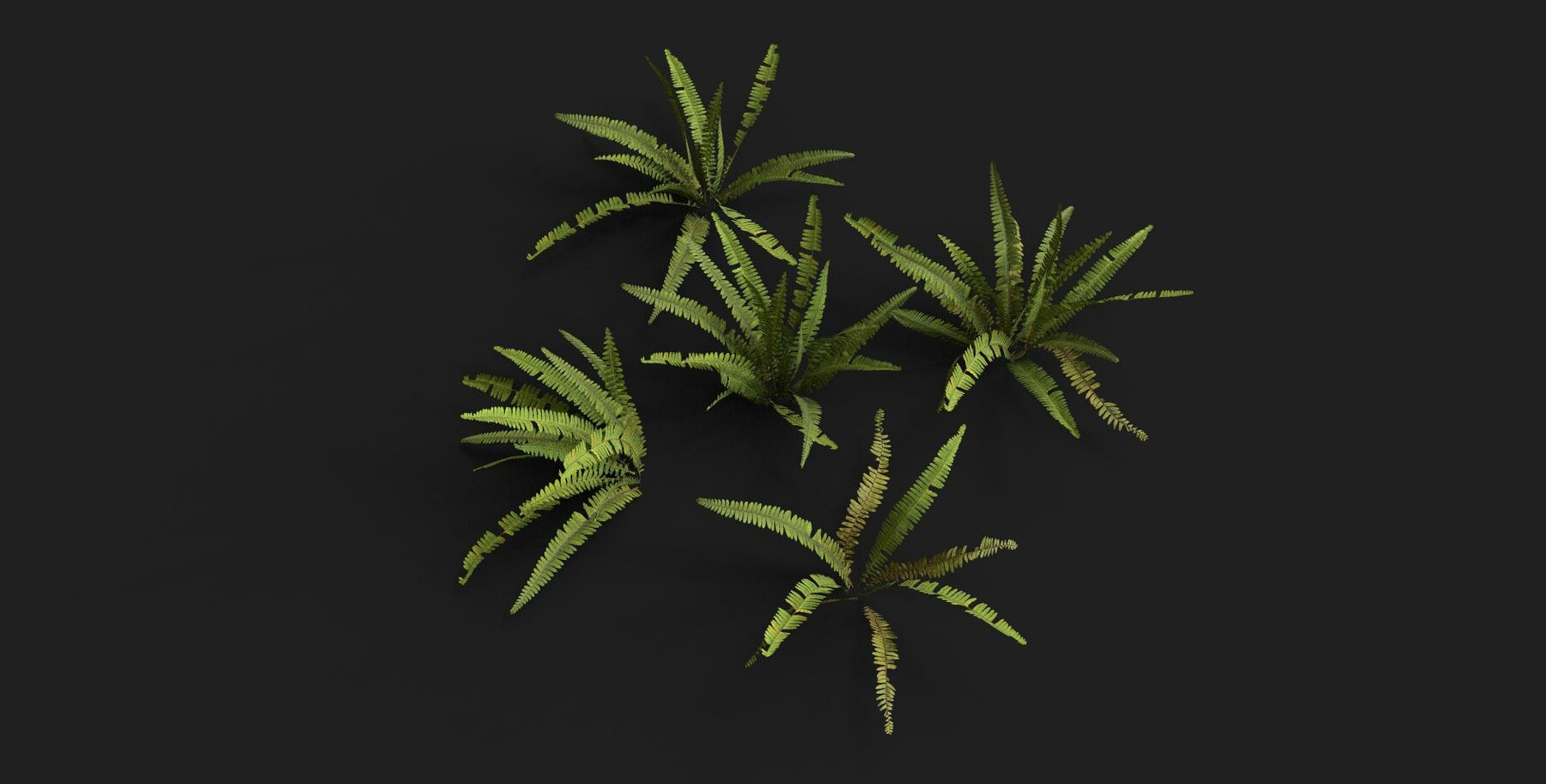 ArtStation - Common Fern | Game Assets