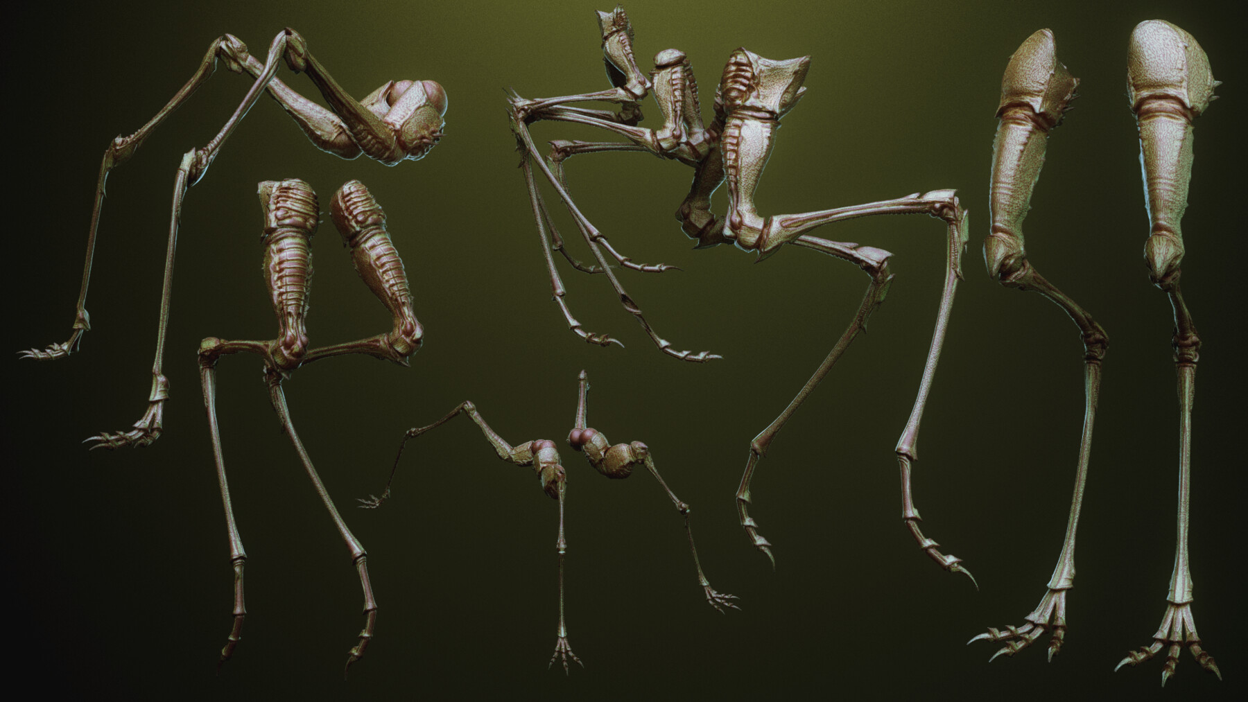 Bernhard van der Horst 3D Artist - iNSEKt : 150+ Kitbash Insectoid ...