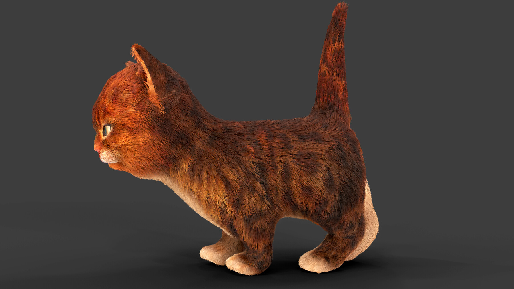 ArtStation - Fur Cute Red Cat Kitten Animated | Game Assets