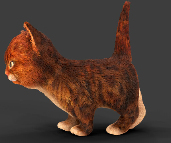 ArtStation - Fur Cute Red Cat Kitten Animated | Game Assets