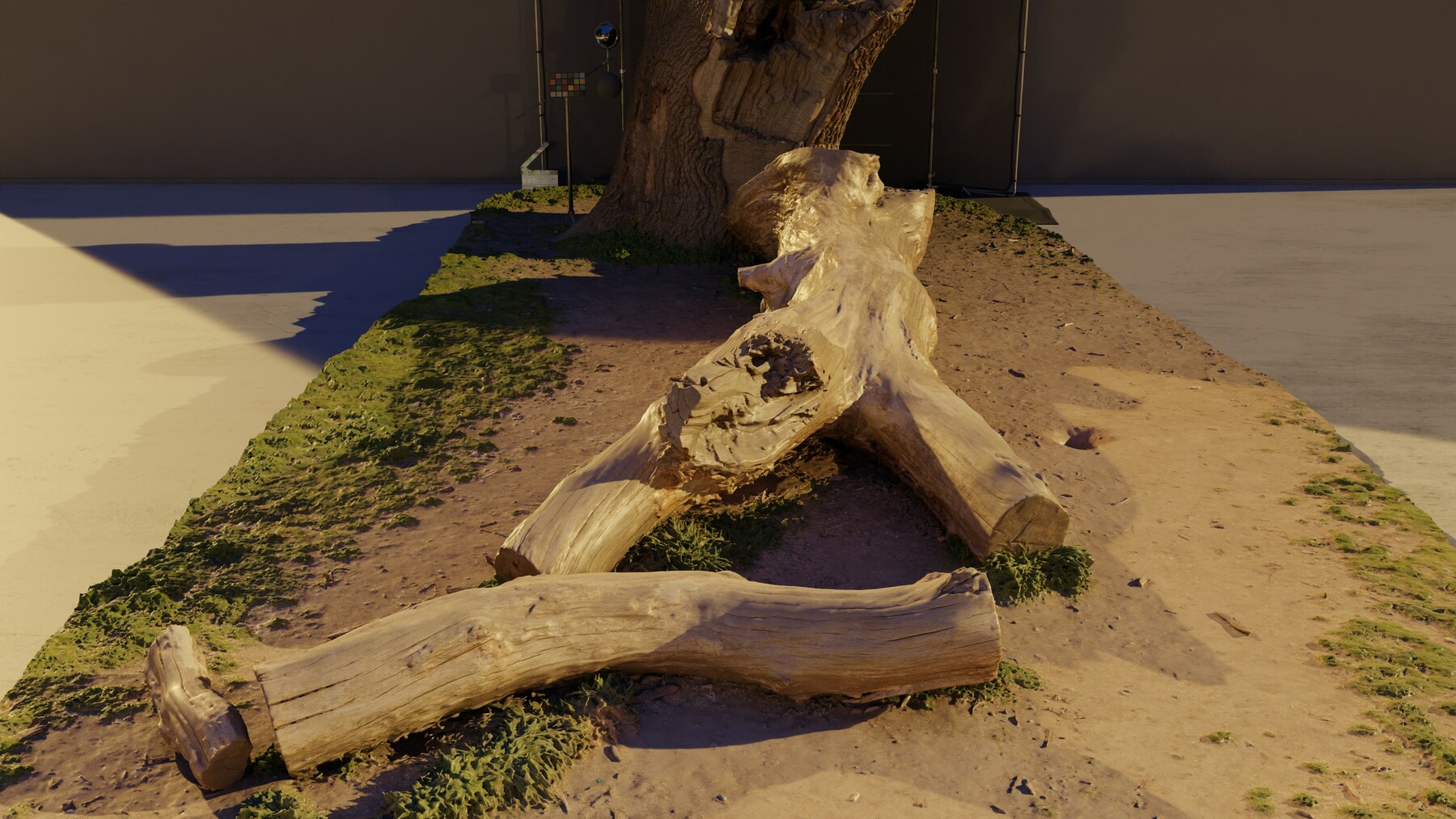 ArtStation - Fallen Tree with a split branch Photogrammetry | Game Assets