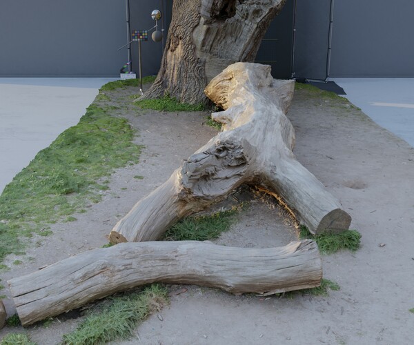 ArtStation - Fallen Tree with a split branch Photogrammetry | Game Assets