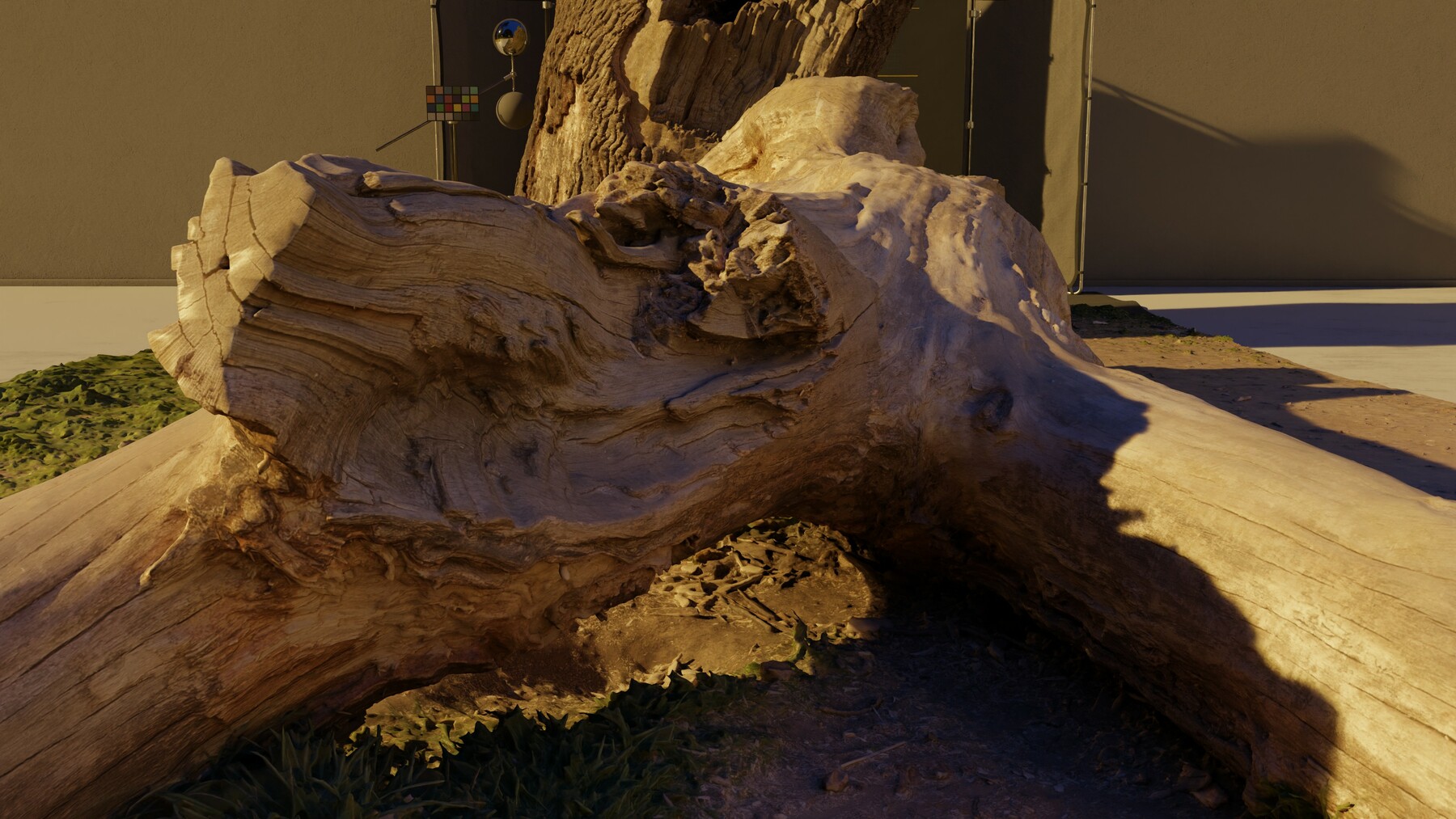ArtStation - Fallen Tree with a split branch Photogrammetry | Game Assets