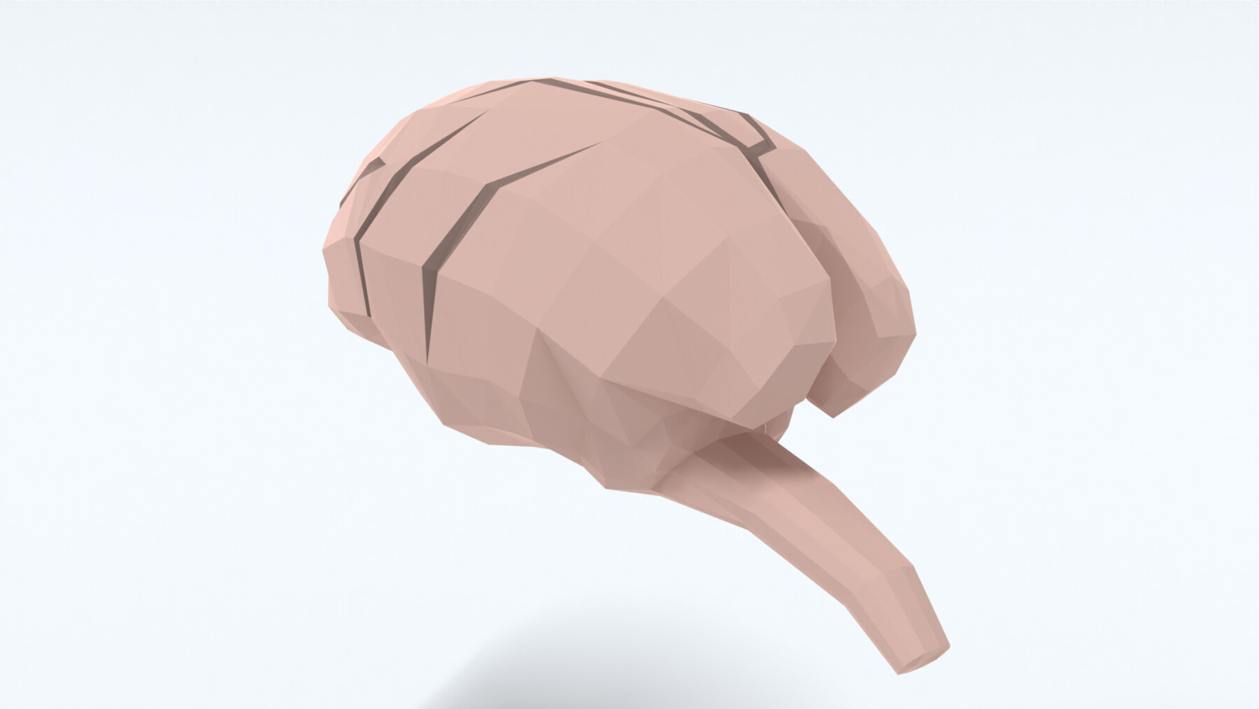 ArtStation - Low Poly Cartoon Monkey Brain | Resources