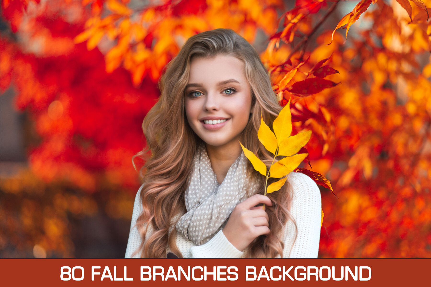 TIGPEEK - 80 Fall Branches backgrounds, Autumn Tree Branch Photo ...