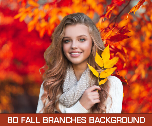 ArtStation - 80 Fall Branches backgrounds, Autumn Tree Branch Photo ...