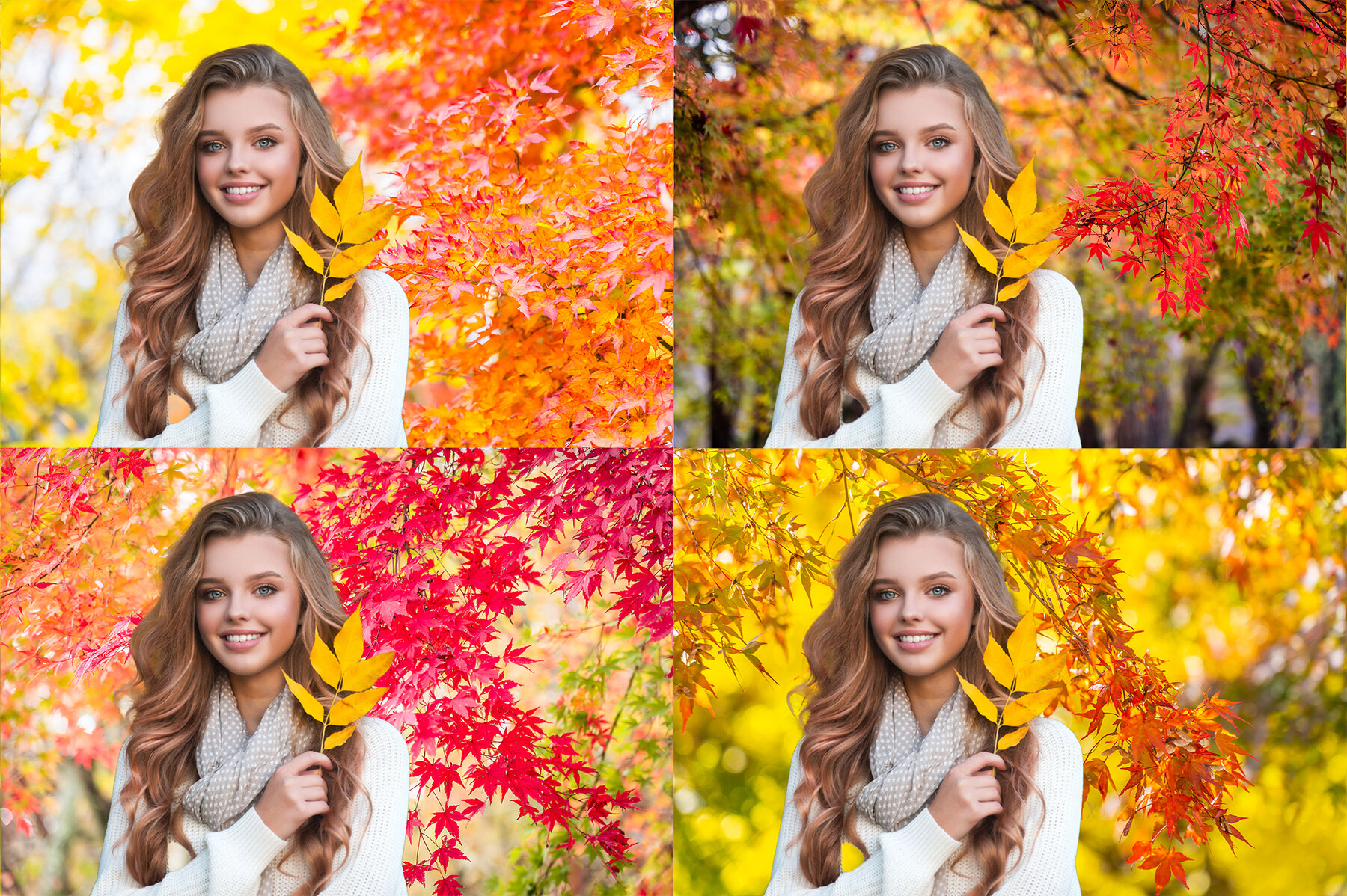 ArtStation - 80 Fall Branches backgrounds, Autumn Tree Branch Photo ...