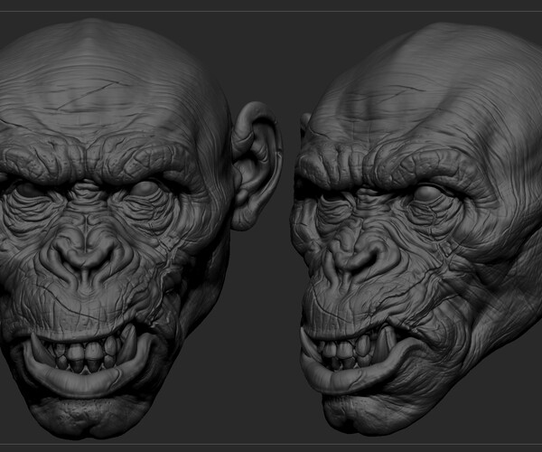 ArtStation - Ape 'Koba' (All package) | Resources