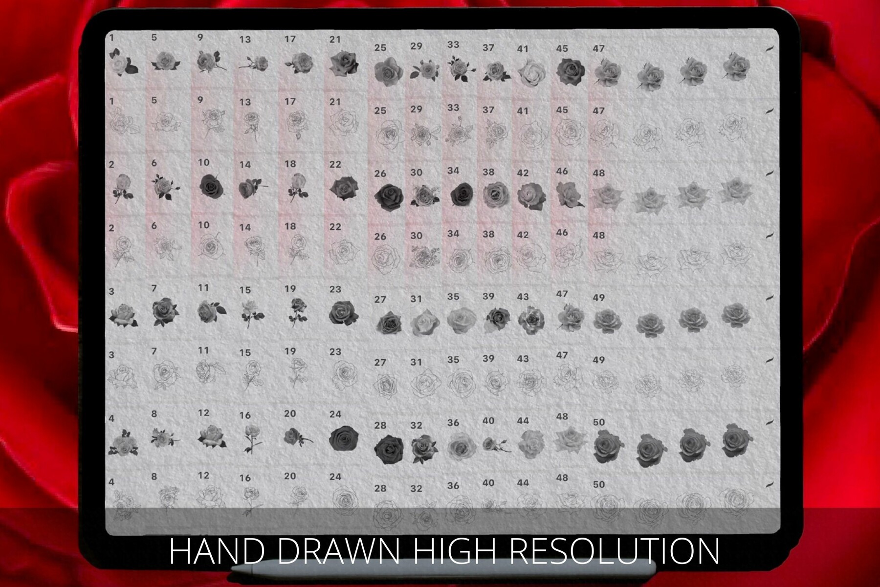 ArtStation - Roses Procreate, procreate rose stamps, Procreate rose ...