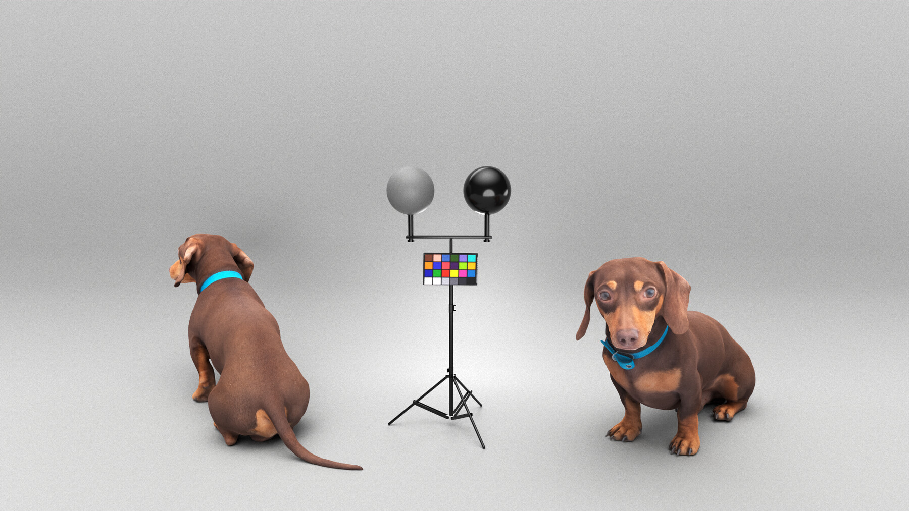 ArtStation - Dachshund dog 26 | Game Assets