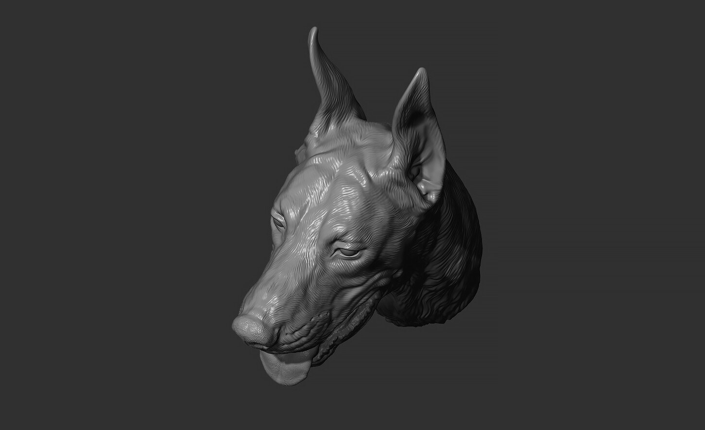 ArtStation - Doberman head | Resources