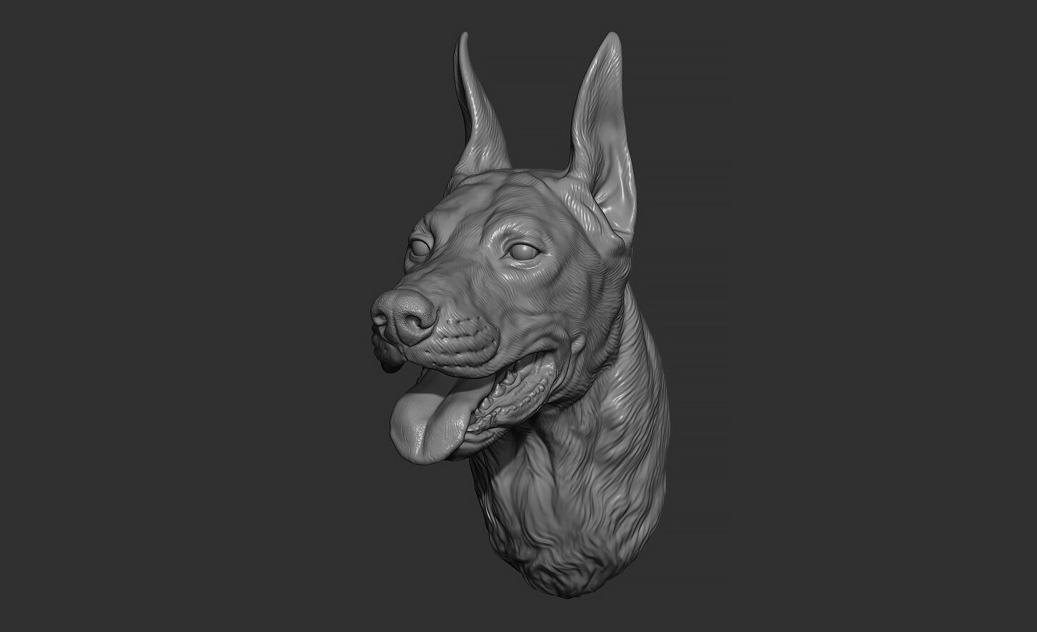 ArtStation - Doberman head | Resources