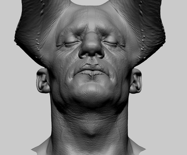 ArtStation - Creature Head G | Resources