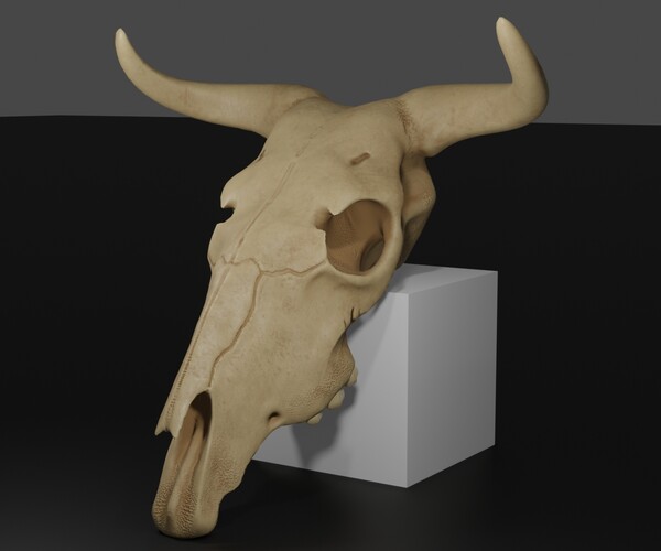 ArtStation - Bull Skull Game Ready 3D Model | Resources