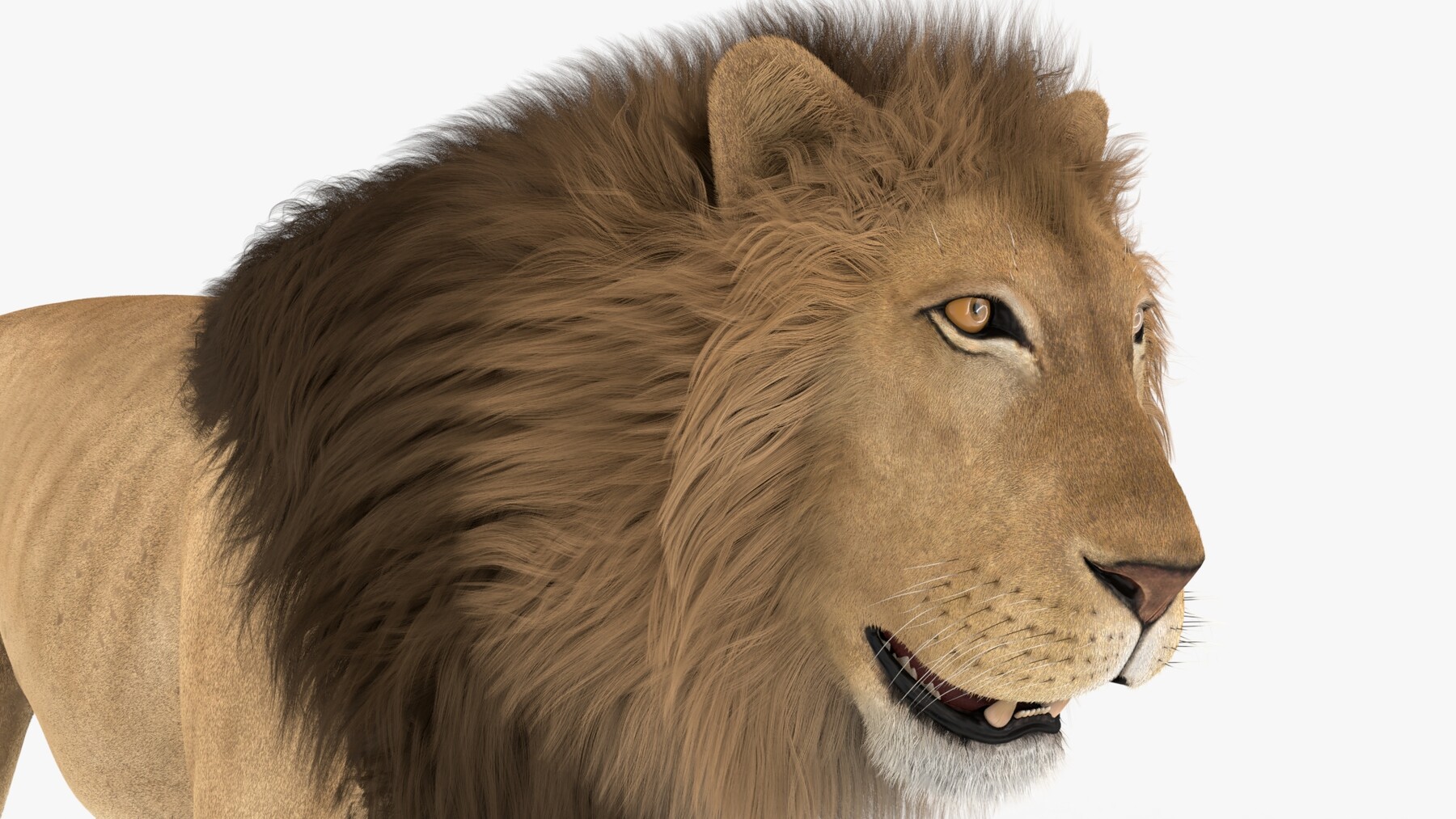 ArtStation - 3D Model: Lion | Game Assets