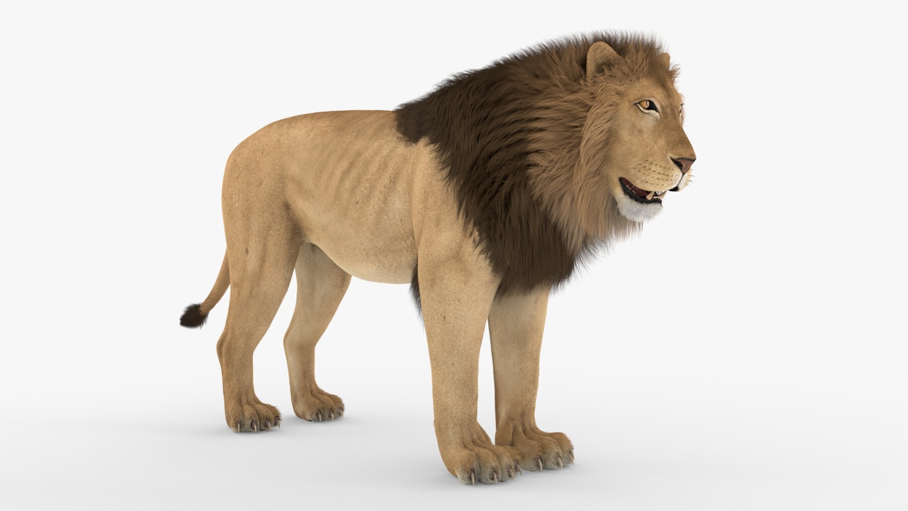ArtStation - 3D Model: Lion Rigged | Game Assets
