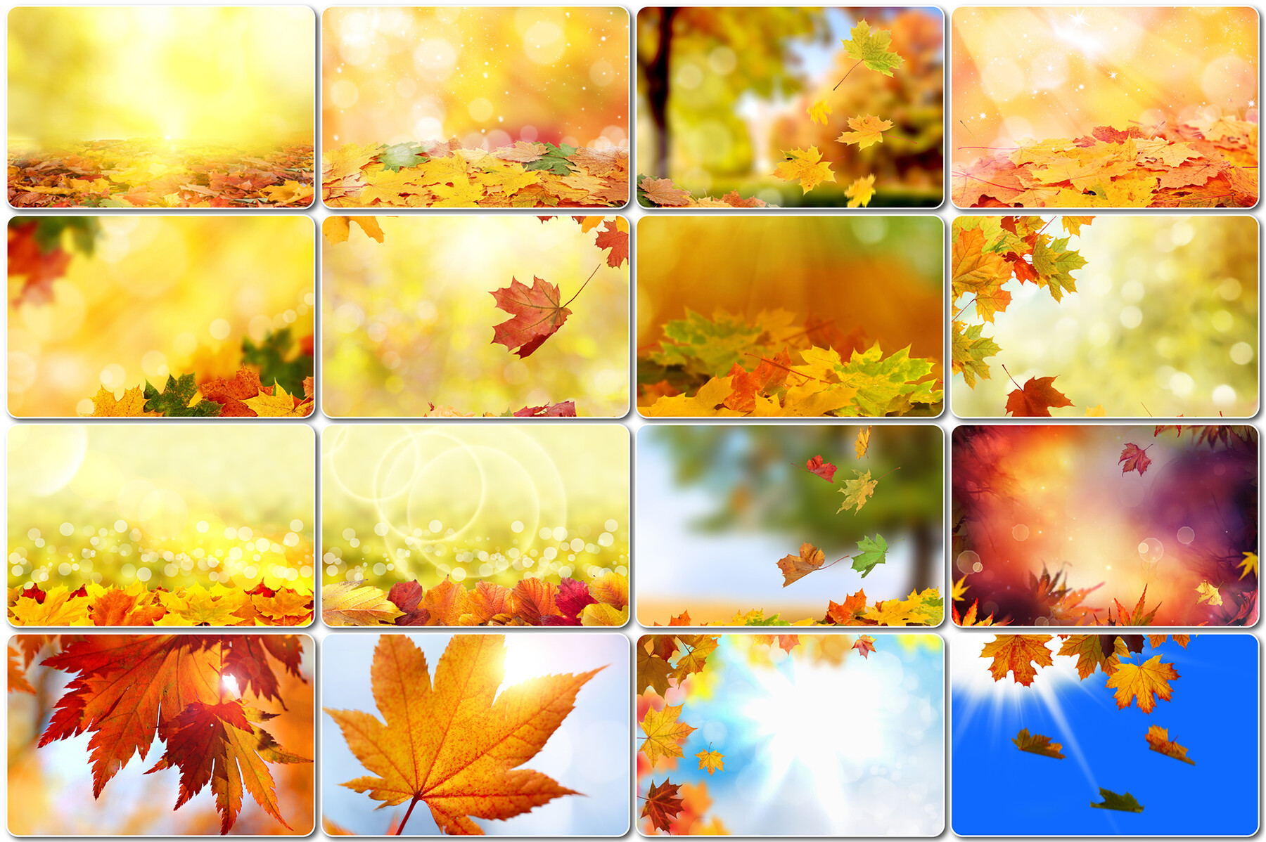 ArtStation - 15 Autumn backdrop, dreamy fall backdrops, photography ...