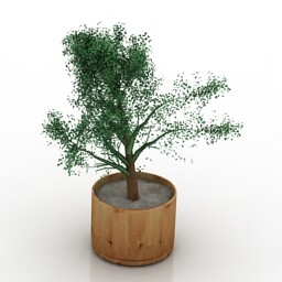 ArtStation - Resource-Interior-Exterior-Plant - Mini Tree Garden ...