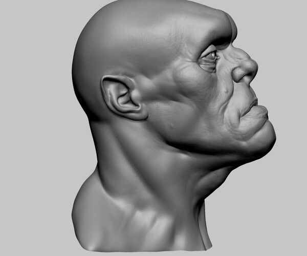 ArtStation - Creature Head H | Resources