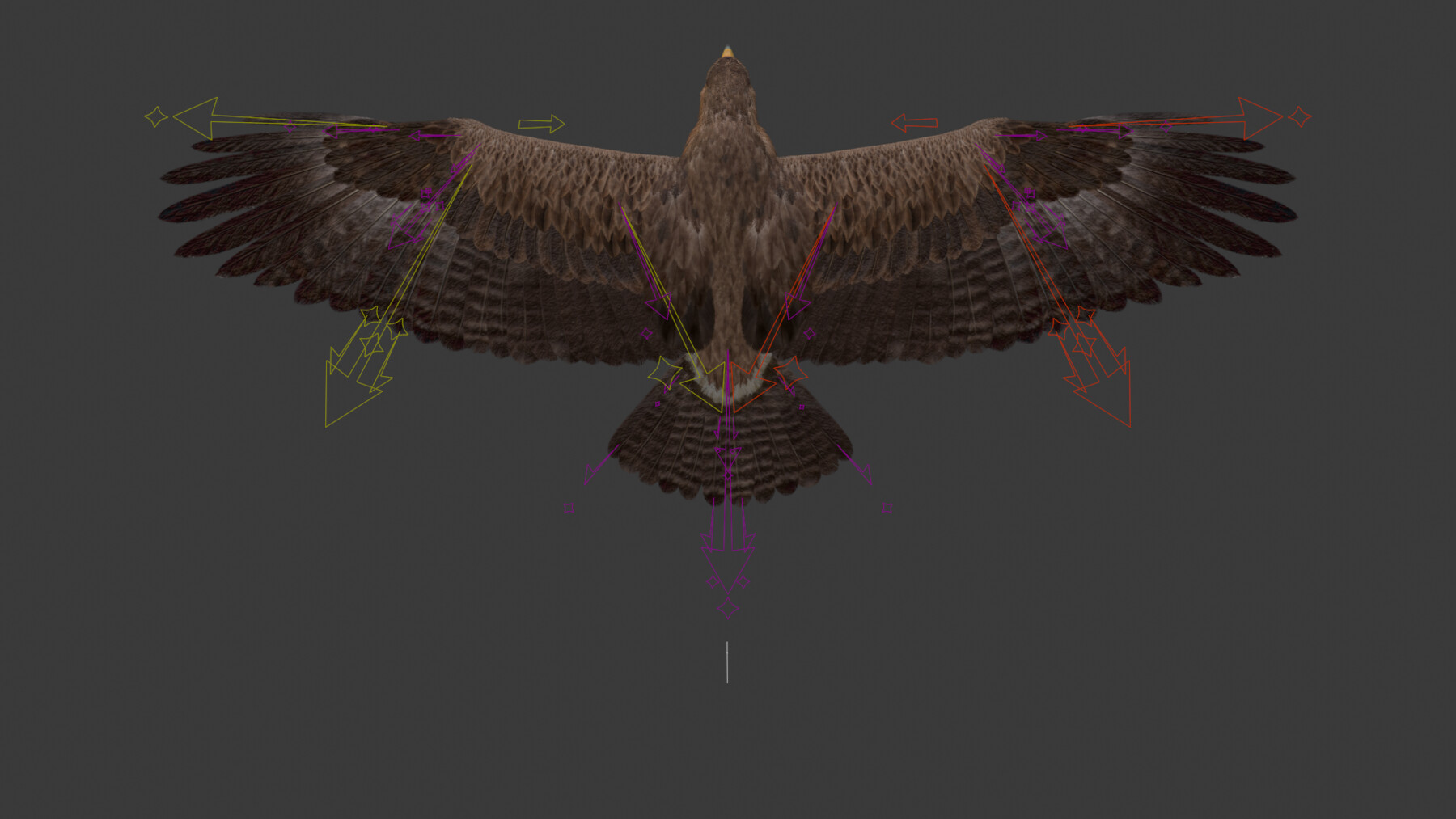 ArtStation - Aquila Nipalensis Animated | VFX Grace | Game Assets