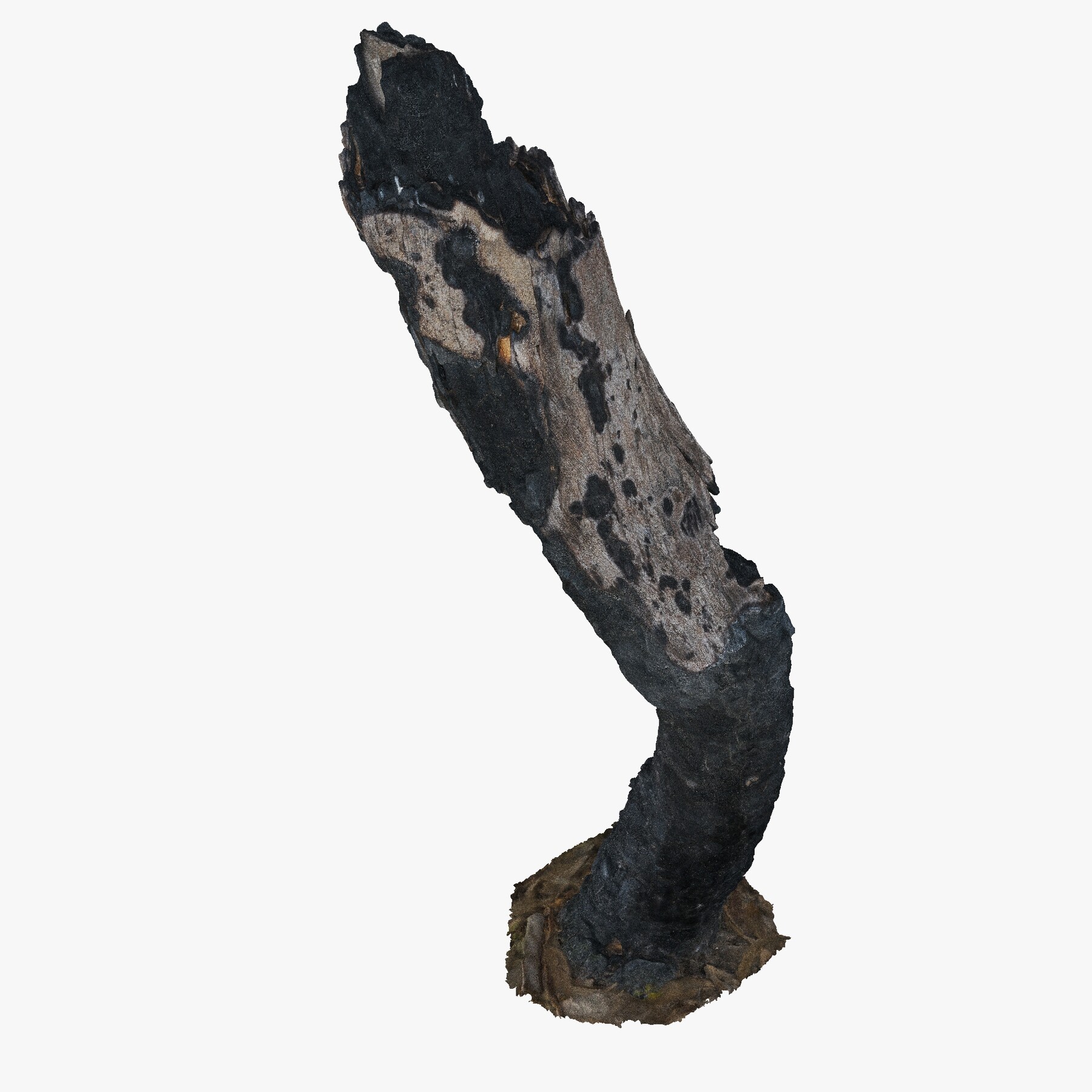 ArtStation - Burnt Tree Trunk 1x16k Textures Raw 3D scan | Game Assets
