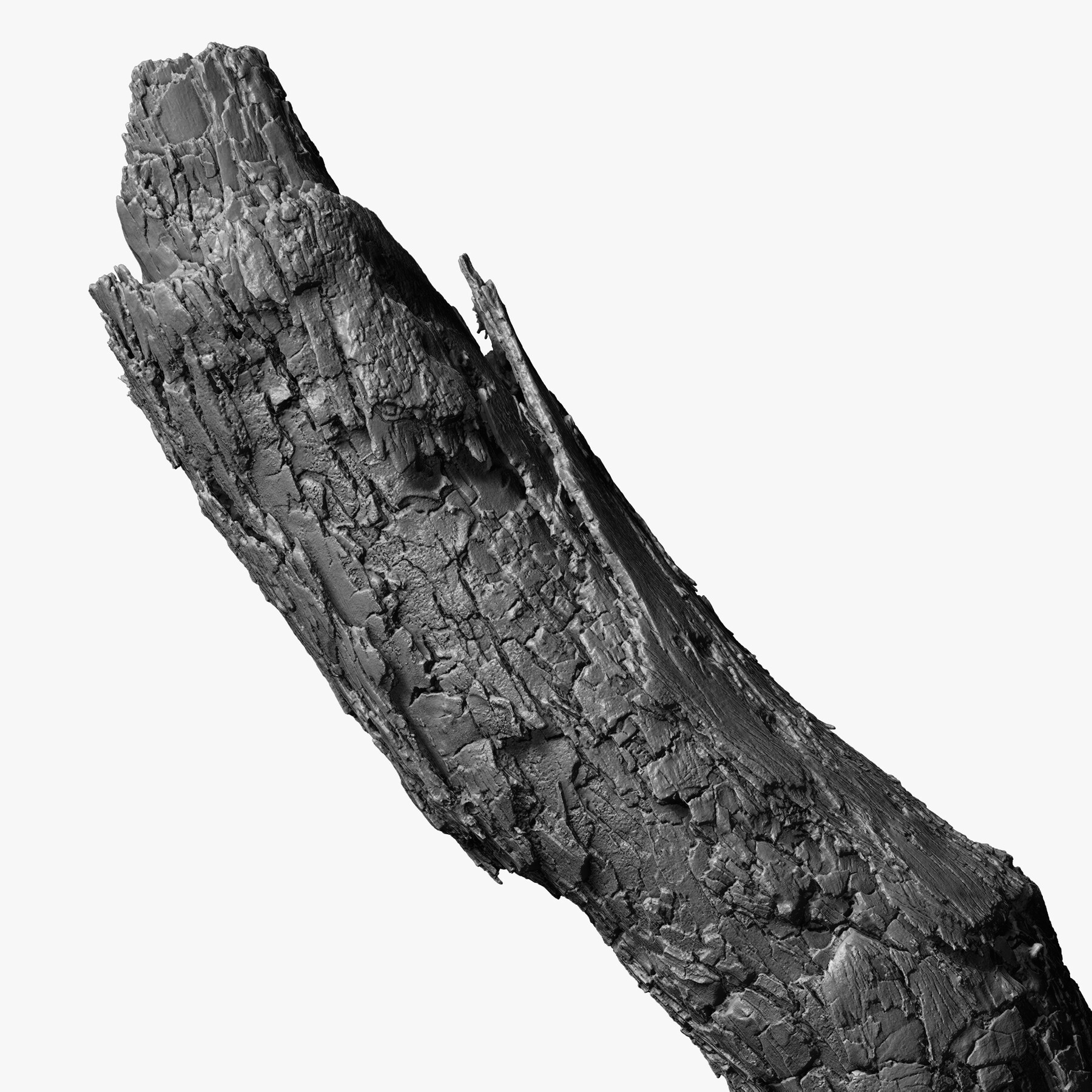 ArtStation - Burnt Tree Trunk 1x16k Textures Raw 3D scan | Game Assets