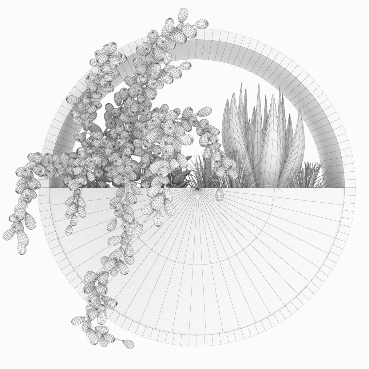 ArtStation - Collection plant vol 69 - Indoor - leaf - blender - 3dmax ...