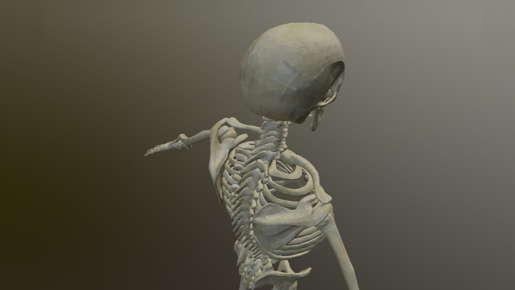 ArtStation - ANATOMIC HUMAN SKELETON low-poly PBR | Game Assets