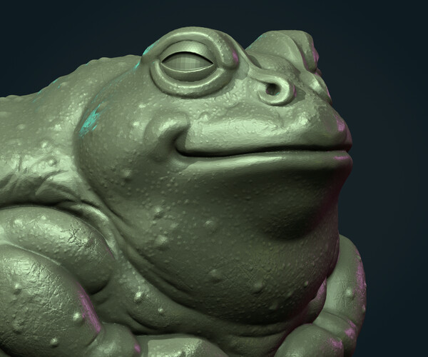 ArtStation - Fat Toad Frog | Resources